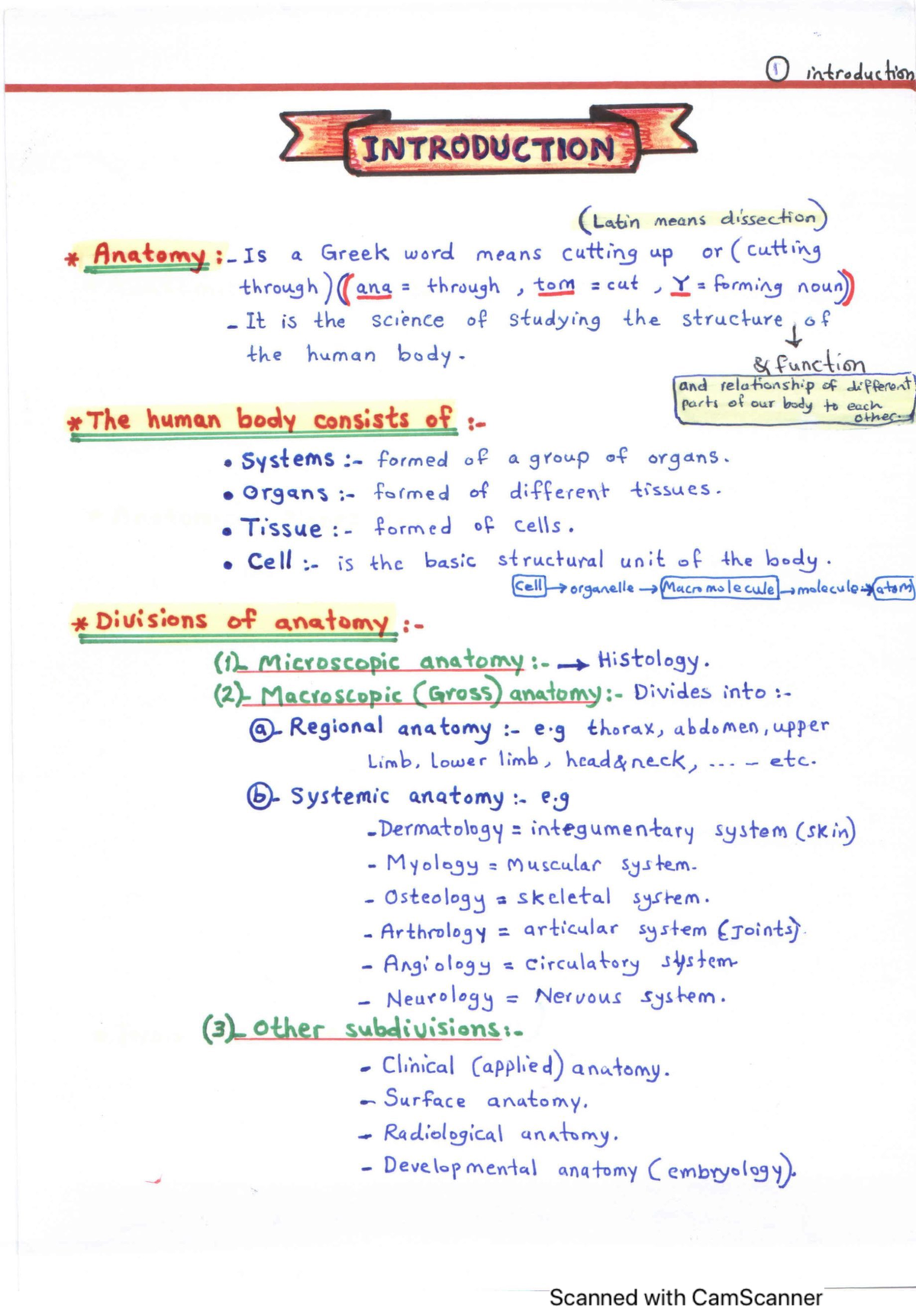 Introduction to anatomy - Anatomy 2 - Studocu