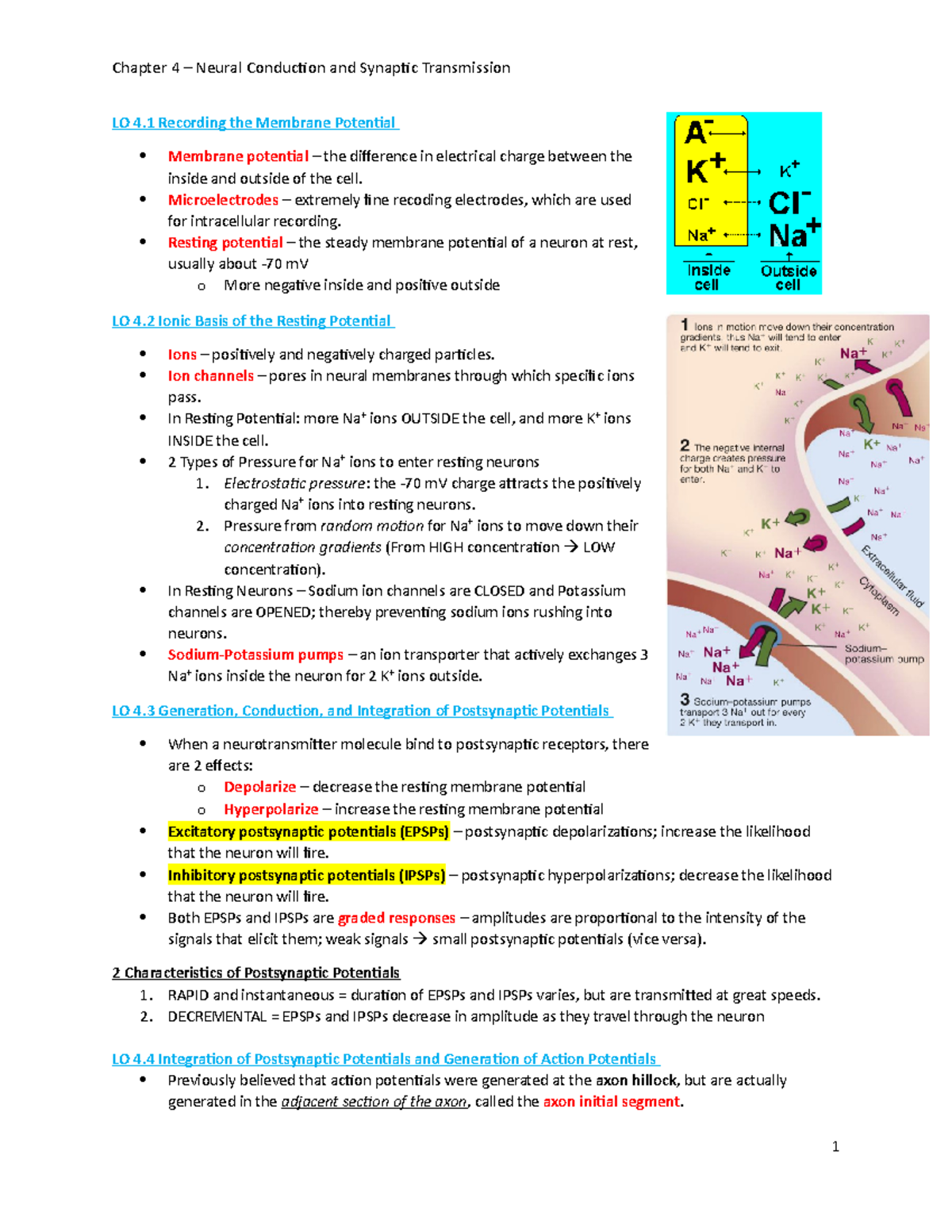 Ch. 4 - neural conduction and synaptic transmission - Chapter 4 Neural ...