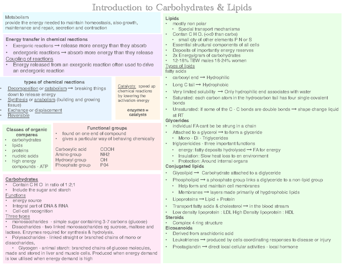 Introduction to Carbohydrates & Lipids - Introduction to Carbohydrates ...