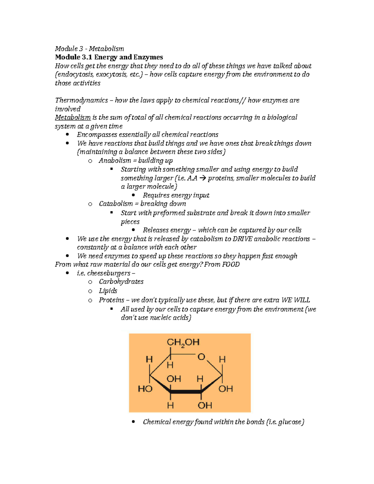 Module 3.1 Energy and Enzymes - Module 3 - Metabolism Module 3 Energy ...