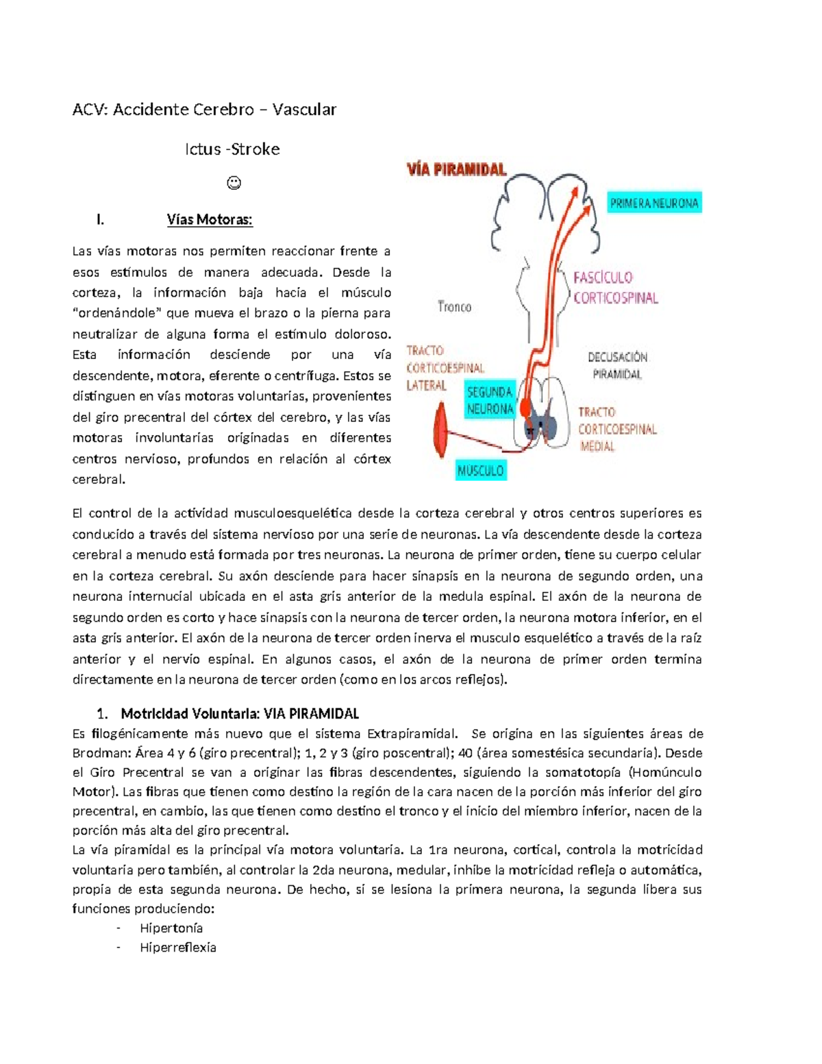 ACV - ecv - ACV: Accidente Cerebro – Vascular Ictus -Stroke I. Vías ...