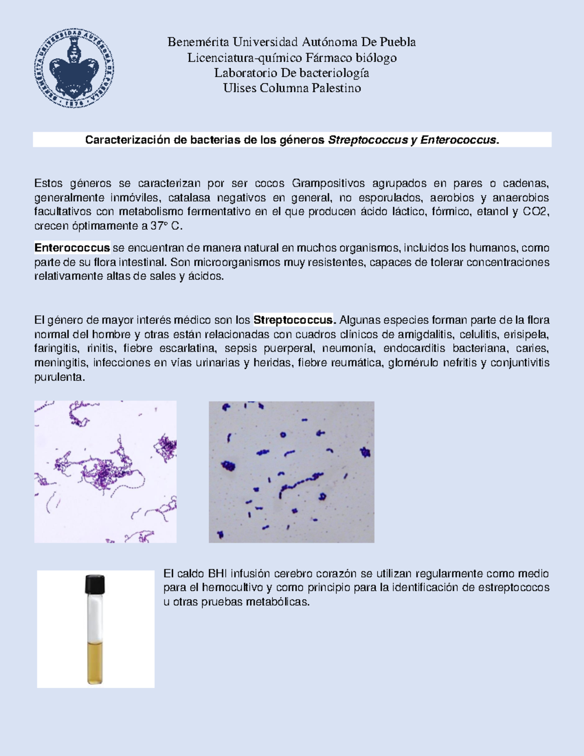 Caracterización de bacterias de los géneros Streptococcus y Enterococcus - Estos géneros se ...