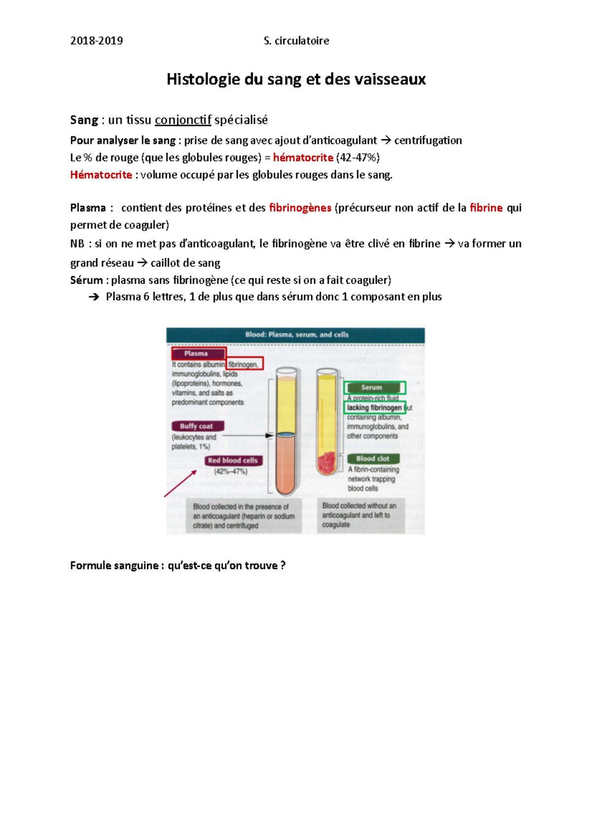 Cardio e) - Warning: TT: undefined function: 32 Histologie du sang et des vaisseaux Sang : un ...
