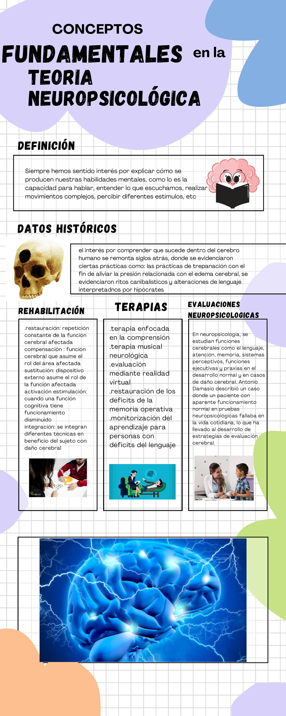 Infografía neuropsicología - En neuropsicología, se estudian funciones ...