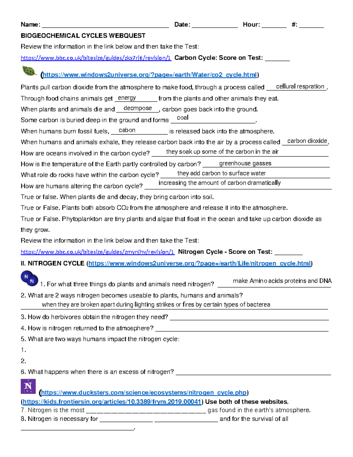 Biogeochemical Cycles Webquest - Name ...
