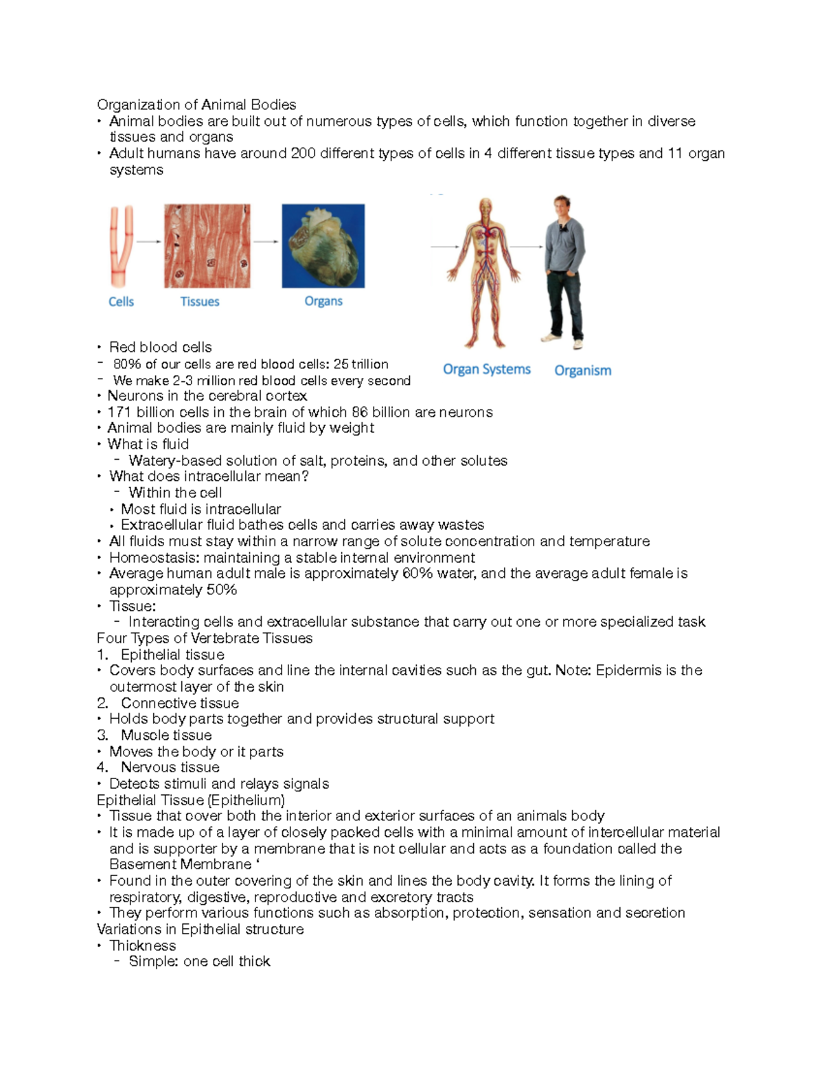 BY102 10:24:22 - Dr. Tenzing Ingty - Organization of Animal Bodies ...