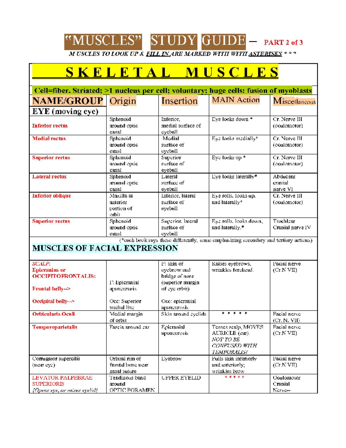 Muscles Draft 7 - Lecture notes 7.20 - &quot;MUSCLES” STUDYG PART 2 of ...
