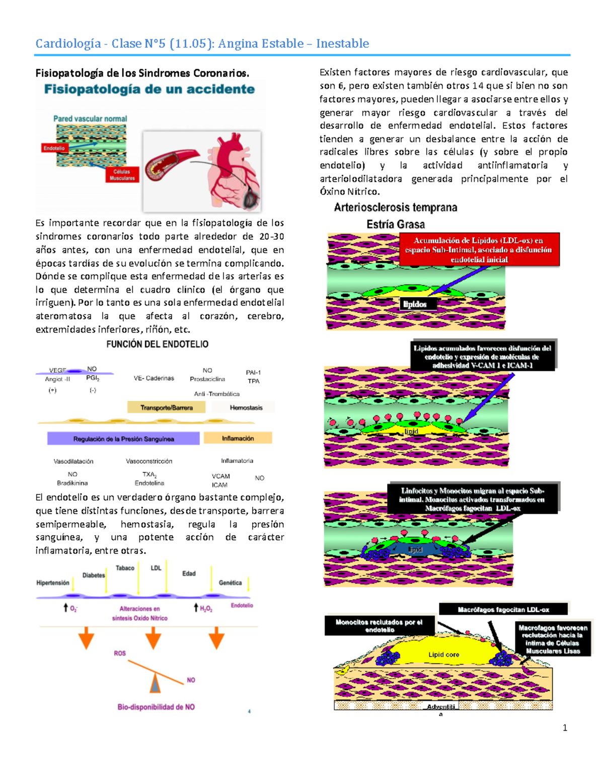 1. Angina inestable angina estable - Cardiología - Clase N° 5 ( 11. 05 ...
