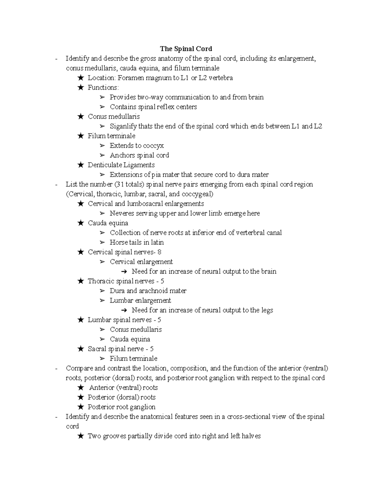 The spinal cord - Transmits crude touch and pressure sensation Lateral ...