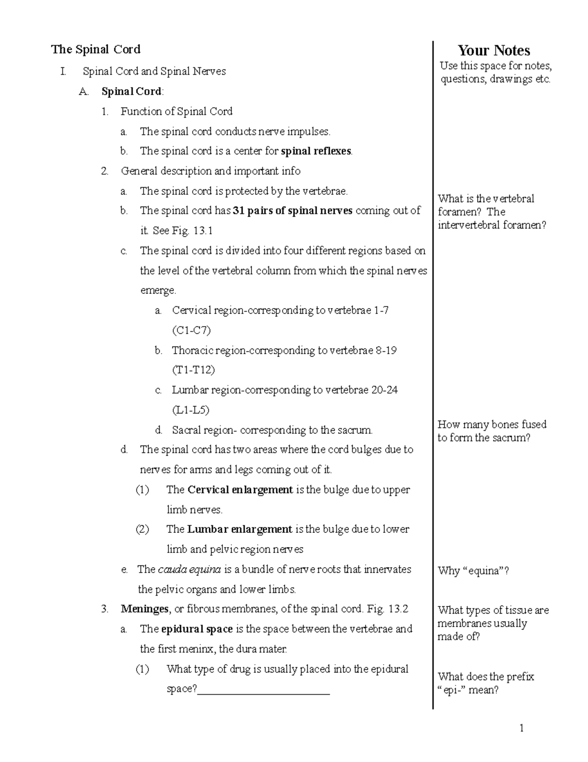 The Spinal Cord handout - The Spinal Cord I. Spinal Cord and Spinal ...