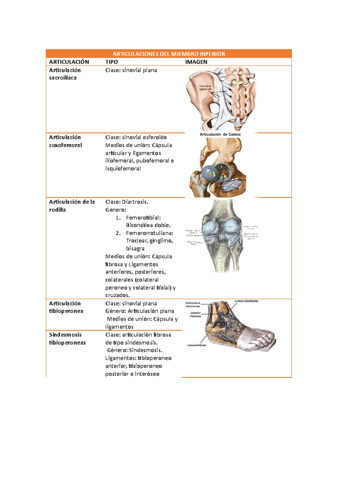 Músculos Constrictores de la Faringe - Constrictor Superior M ...