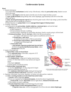 Different Patient Positioning - Different Positionings Supine Position ...