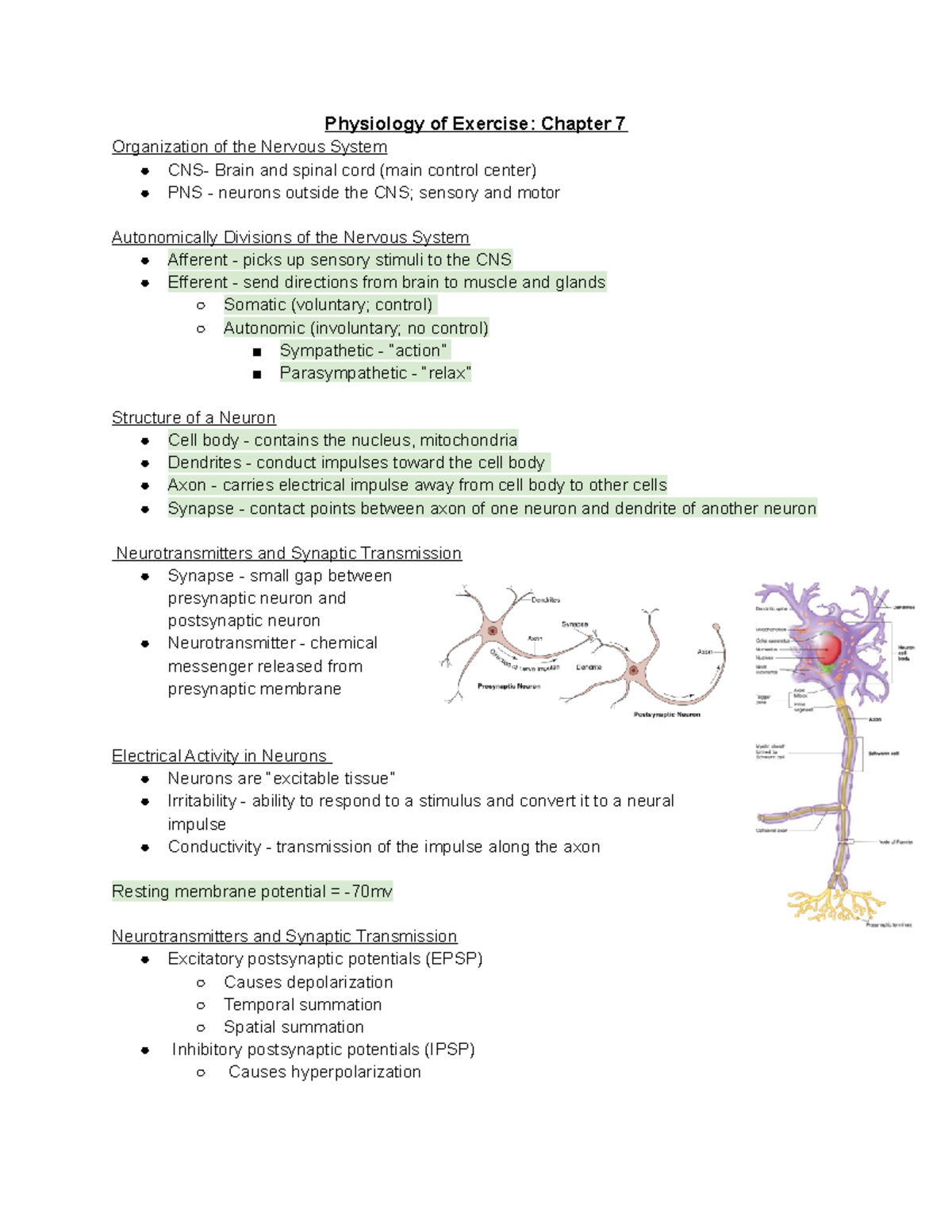 Ch 7 Ex Phys - Chapter 7 Notes - Physiology of Exercise: Chapter 7 ...