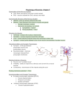 Chaper 5 Ex Phys Notes - KINE 4312 - Studocu