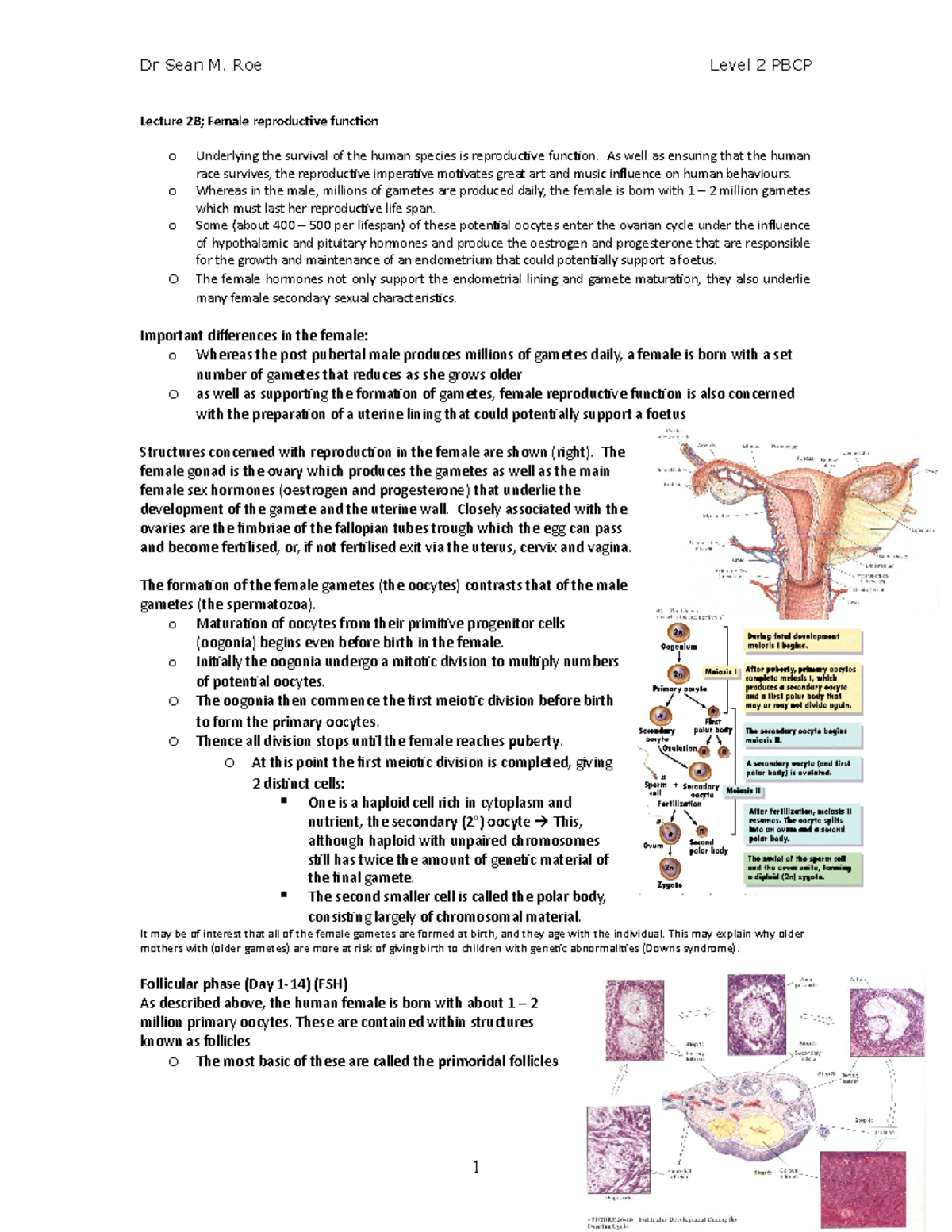 Female Reproduction - Lecture 28; Female reproductive function o ...