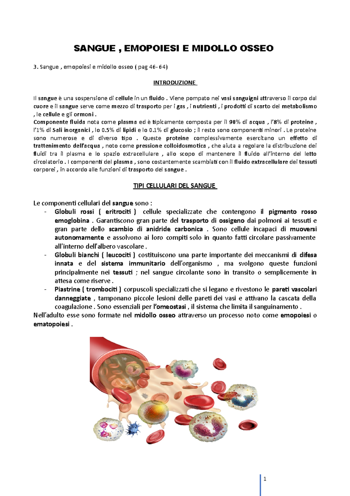 Sangue , Emopoiesi E Midollo Osseo - SANGUE , EMOPOIESI E MIDOLLO OSSEO ...