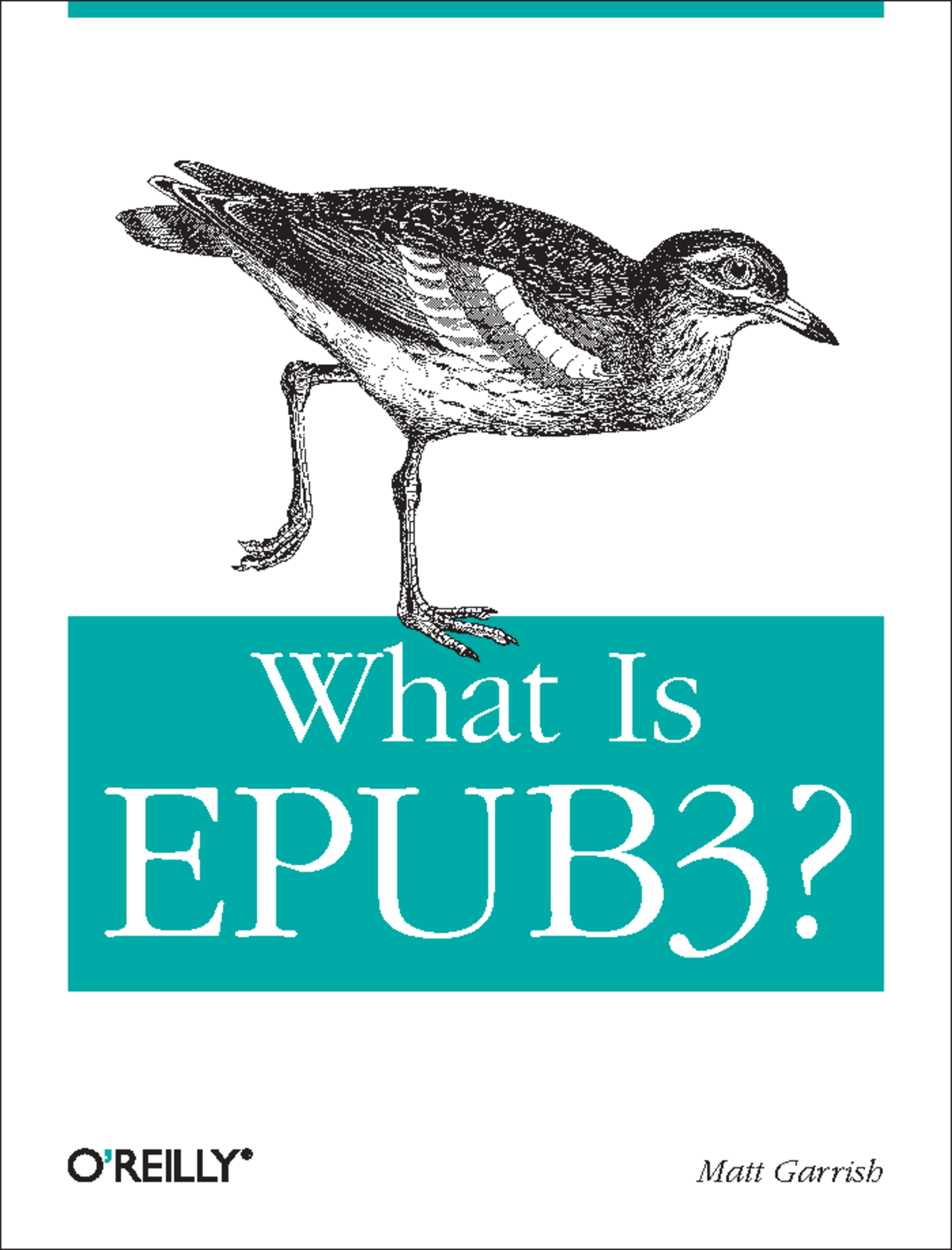 Garrish- What Is EPUB3 - Matt Garrish What Is EPUB3? newgen To experience Silk contact sales ...