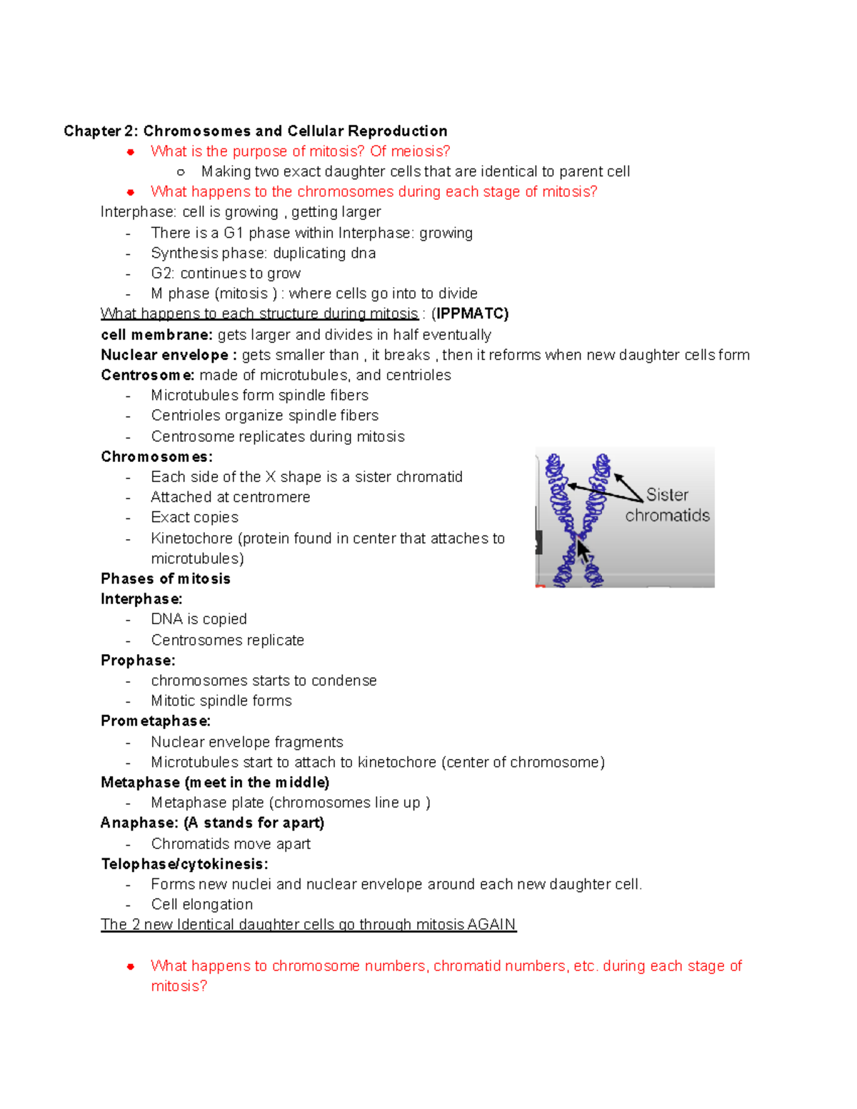 Genetics exam 1 key questions and notes ch 2+3 - Chapter 2: Chromosomes ...