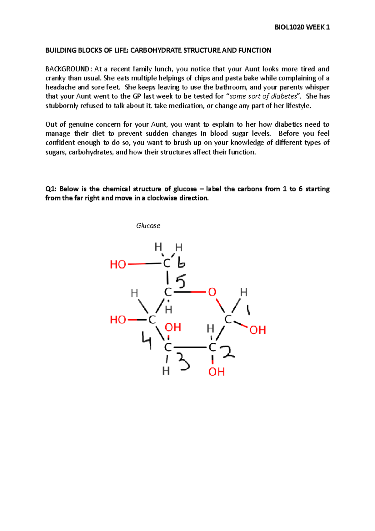 BIOL1020 week1-worksheet - BUILDING BLOCKS OF LIFE: CARBOHYDRATE ...