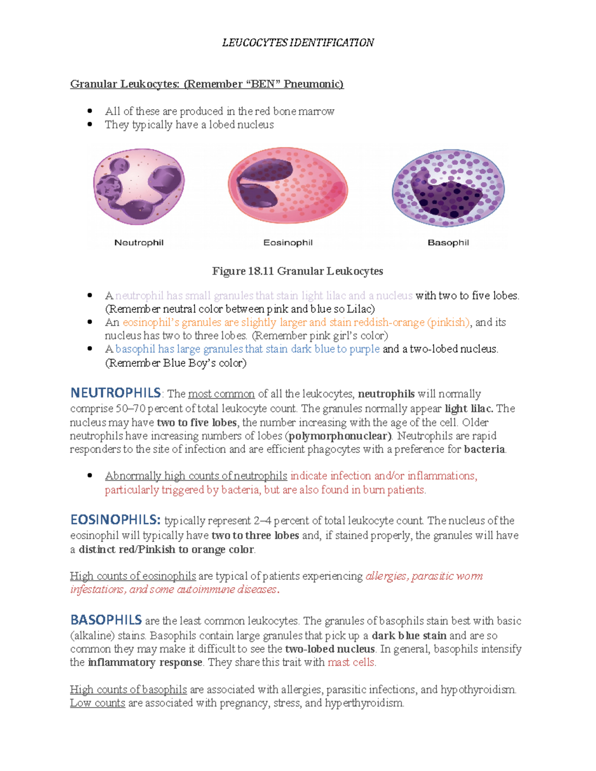 Leukocytes- LAB identification - LEUCOCYTES IDENTIFICATION Granular ...