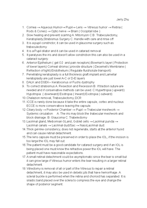 Axial Skeleton Deep Dive Student - Axial Skeleton Webquest Part 1 ...