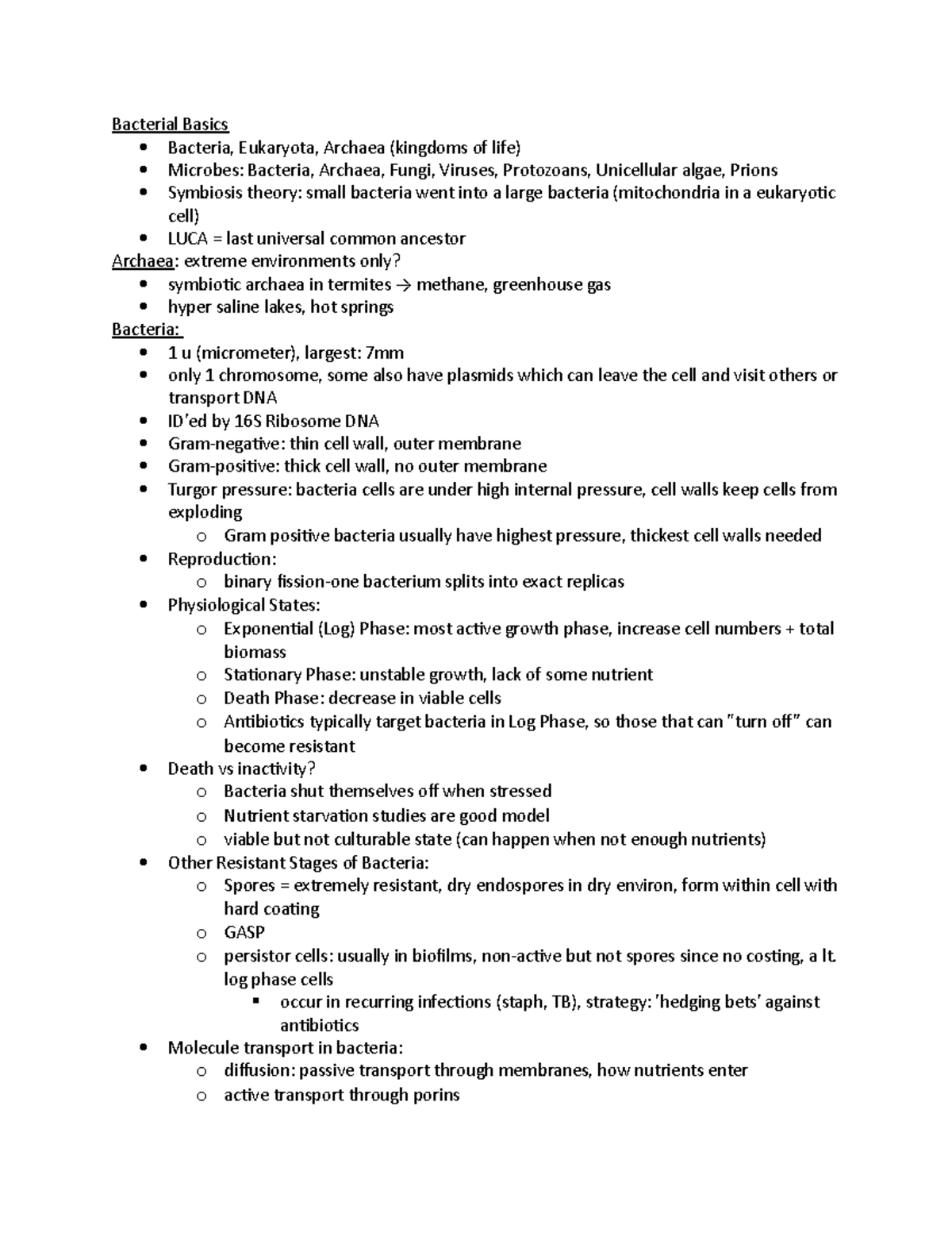 Bacterial Basics - introduction to bacteria and infections - Bacterial ...