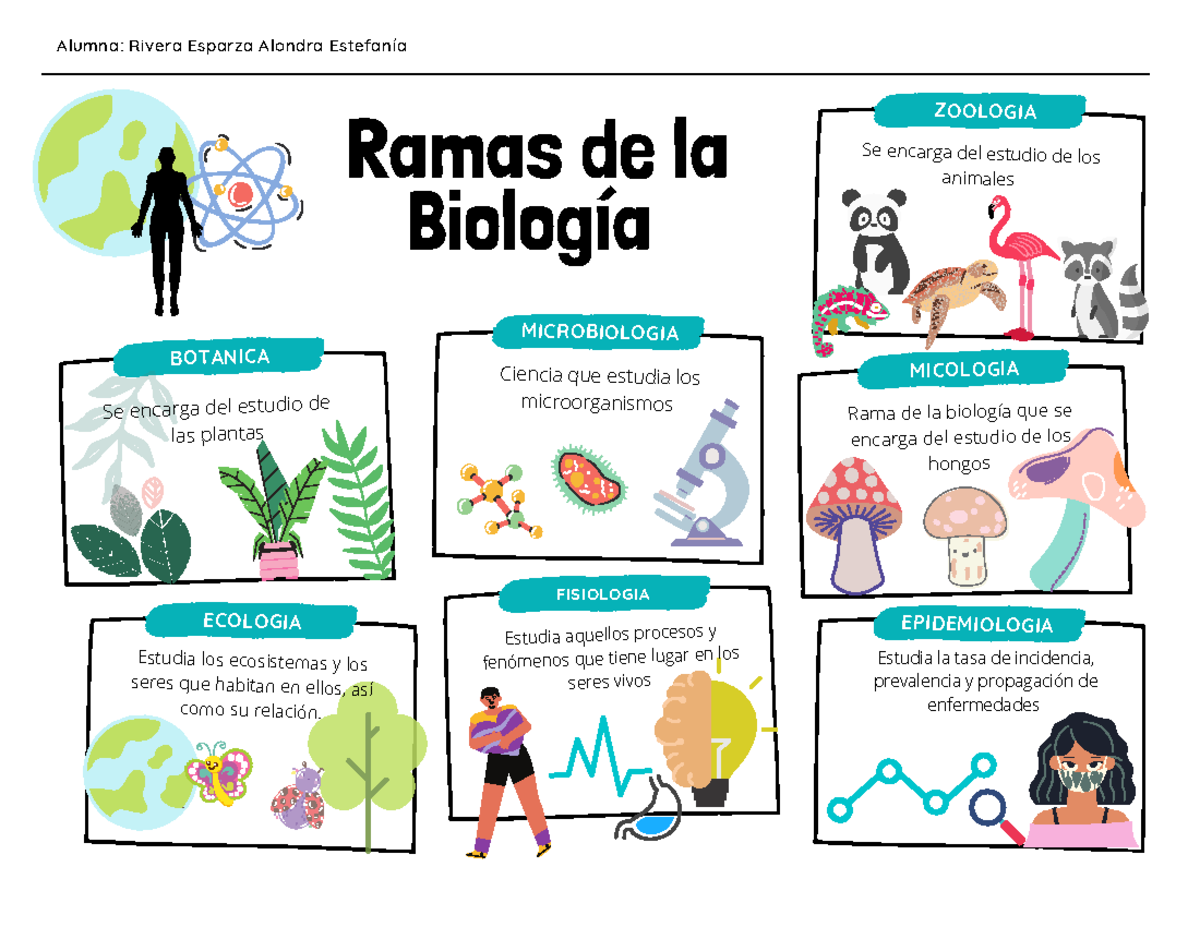 Ramas de la biología - Ramas de la Biología Alumna: Rivera Esparza ...