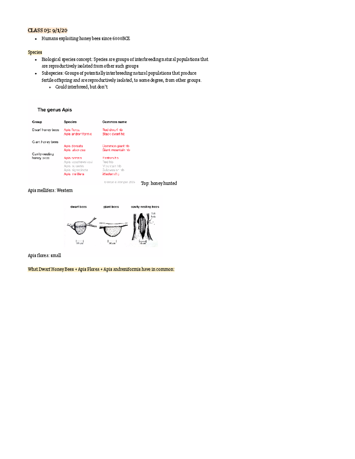 Ent222 Lecture Notes 9/1 - CLASS 03: 9/1/ Humans exploiting honey bees ...
