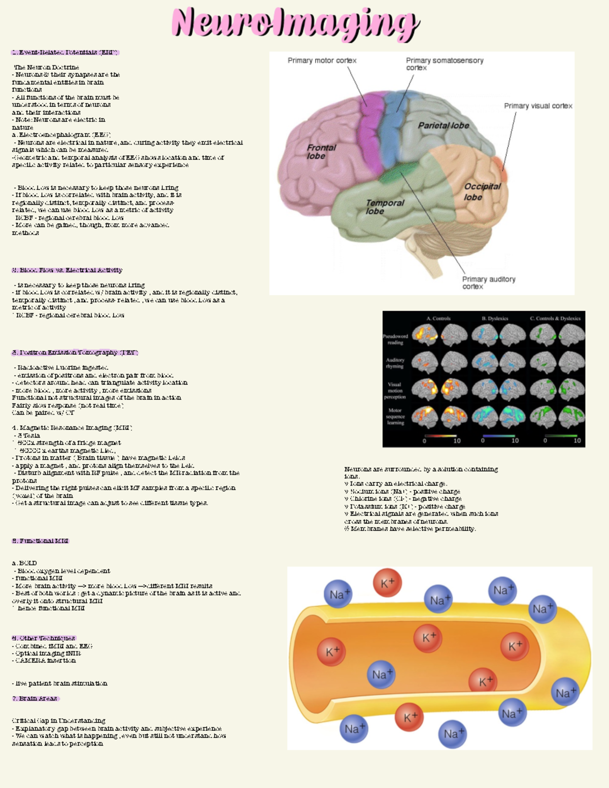 Brain Tissue Types