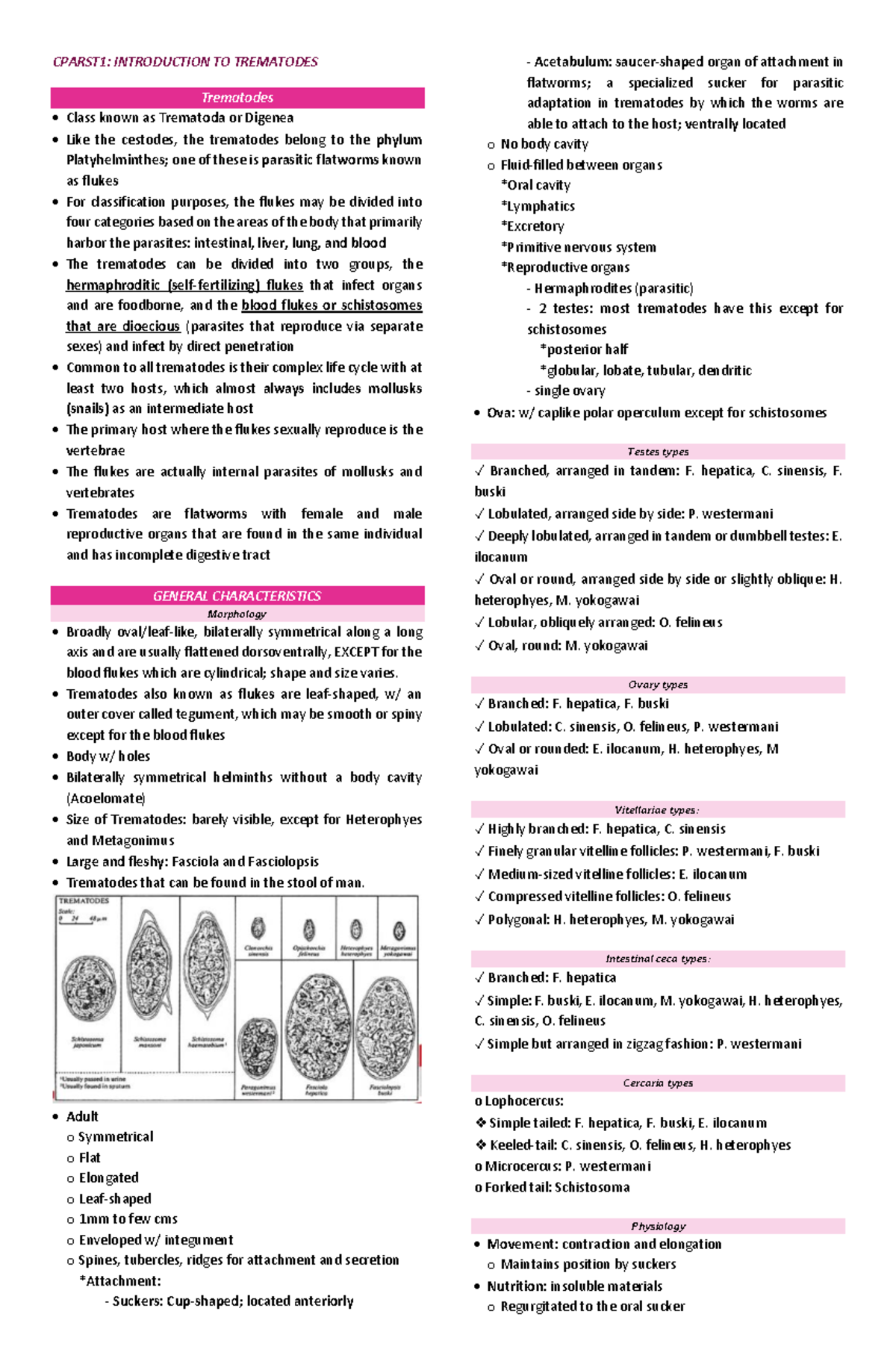 Parasitology: Trematodes - CPARST1: INTRODUCTION TO TREMATODES ...