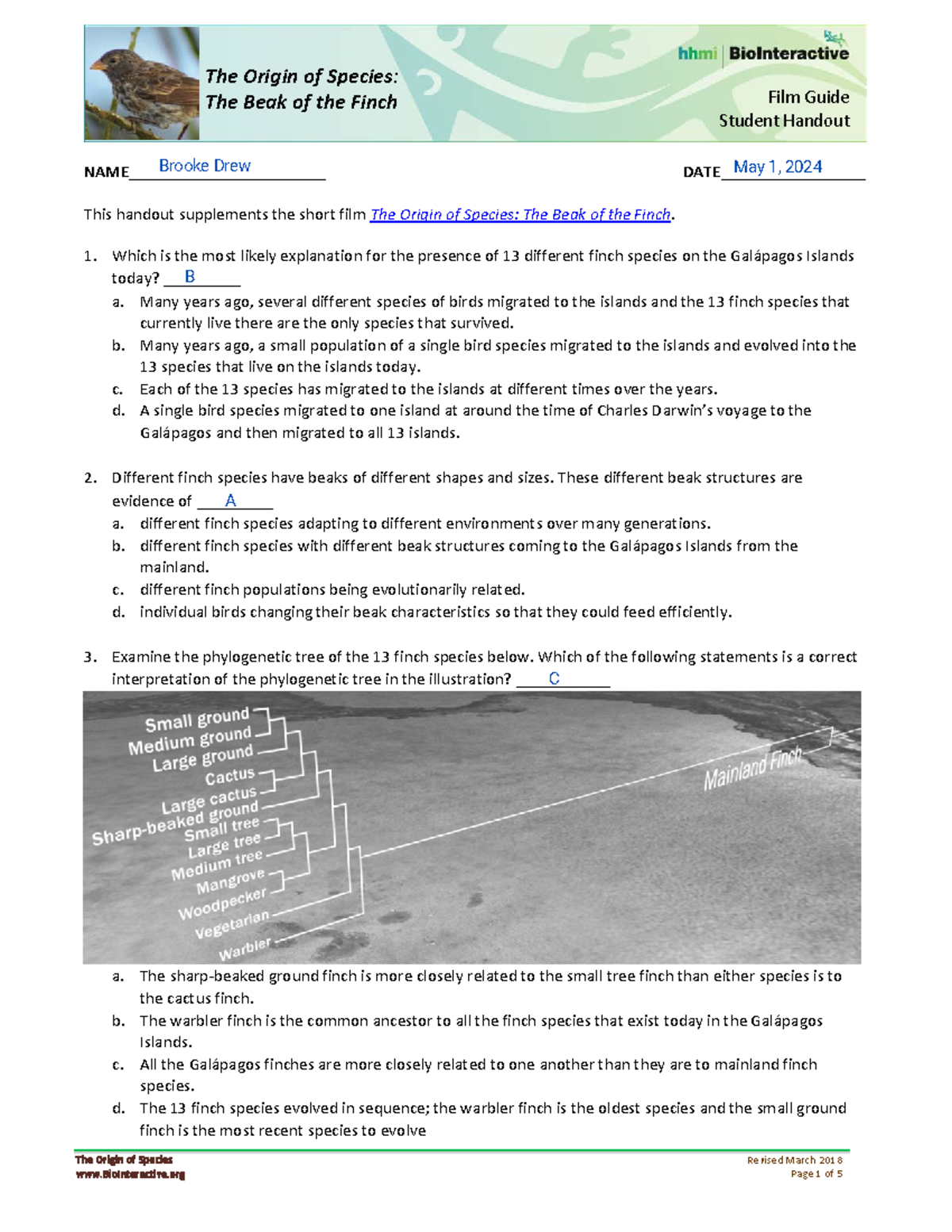 Kami Export - Darwin Beak of Finch-Student HO - The Origin of Species ...