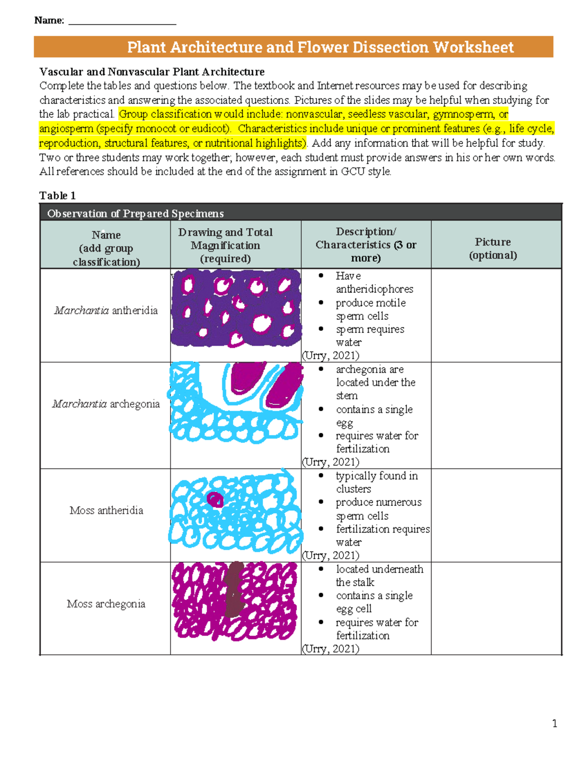 MGalindo BIO182L Flower Dissection - Plant Architecture and Flower ...