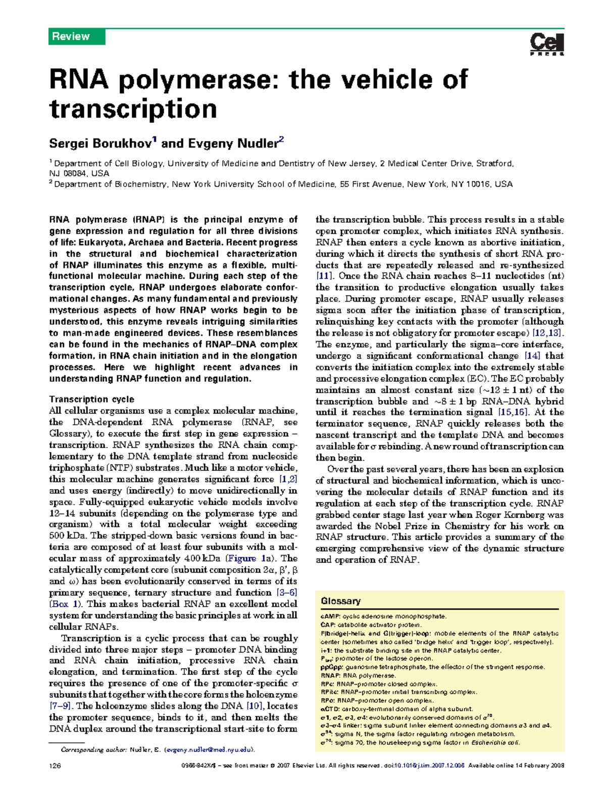 RNA polymerase - the vehicle of transcription - RNA polymerase: the ...