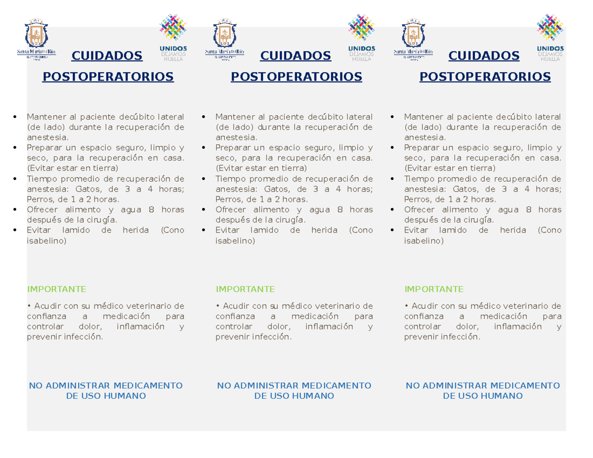 Cuidados POS Operatorios - CUIDADOS POSTOPERATORIOS Mantener al ...