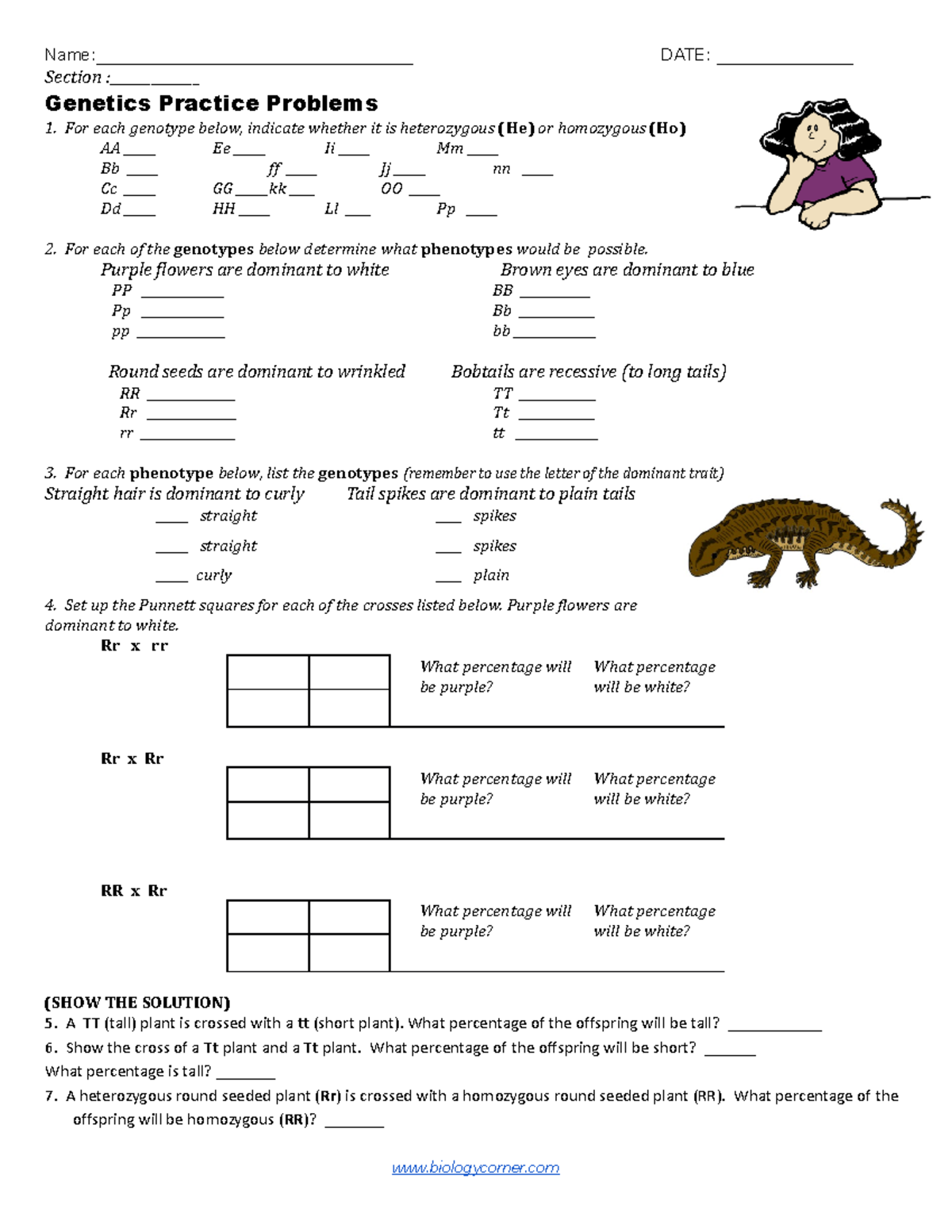 Practice Simple Genetics Name