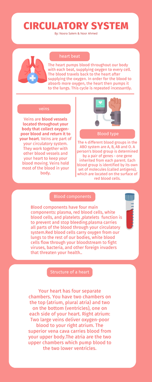 Human body system Infographic- Noora Salem &Noor Ahmed - heart beat ...