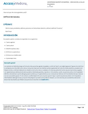 Avance Programa Sintético Fase 4 - Avance del contenido del Programa ...