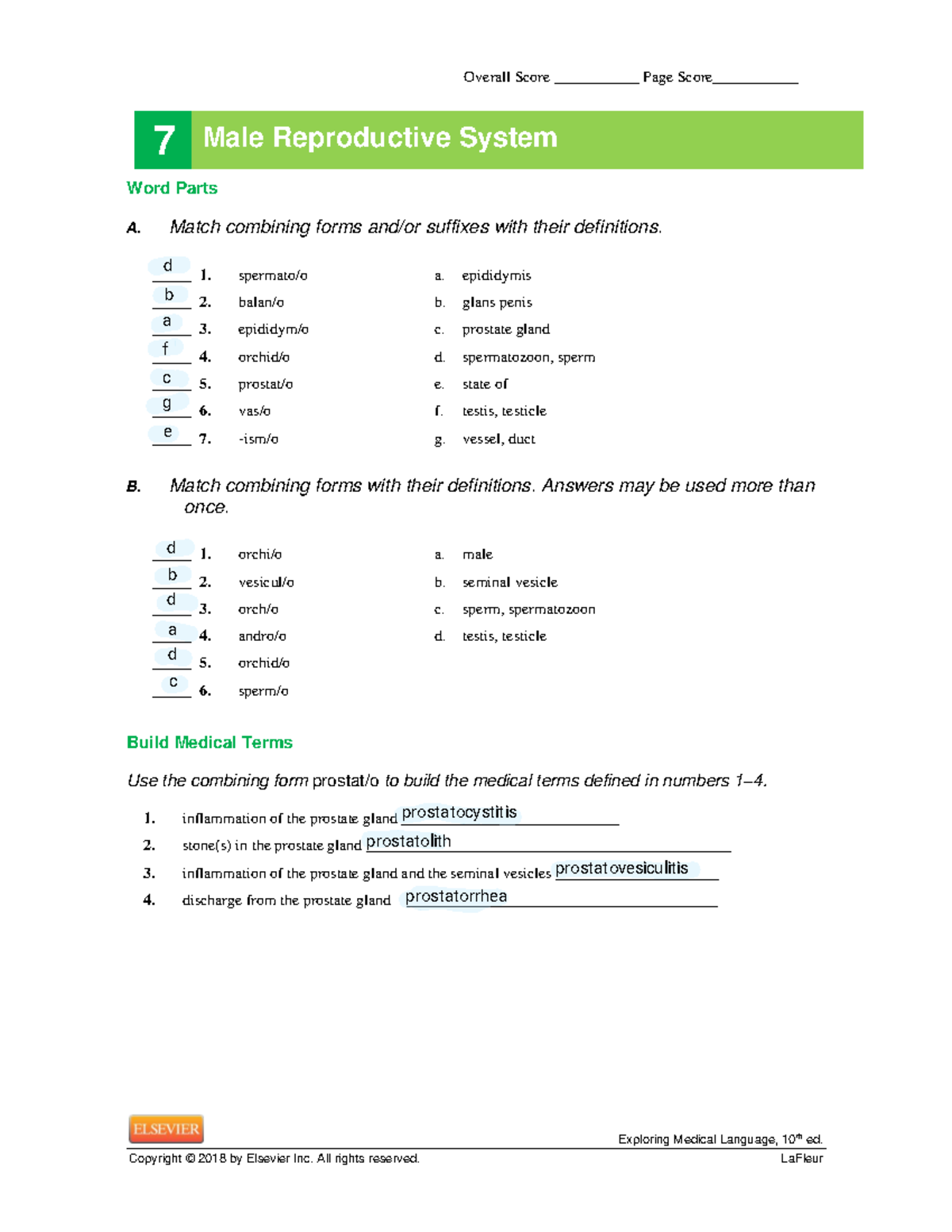 Chapter 7 Homework - Overall Score ___________ Page Score___________ Exploring Medical Language ...