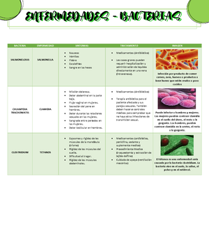 Identificación de agentes patógenos - Leo Olmos - IDENTIFICACION DE ...