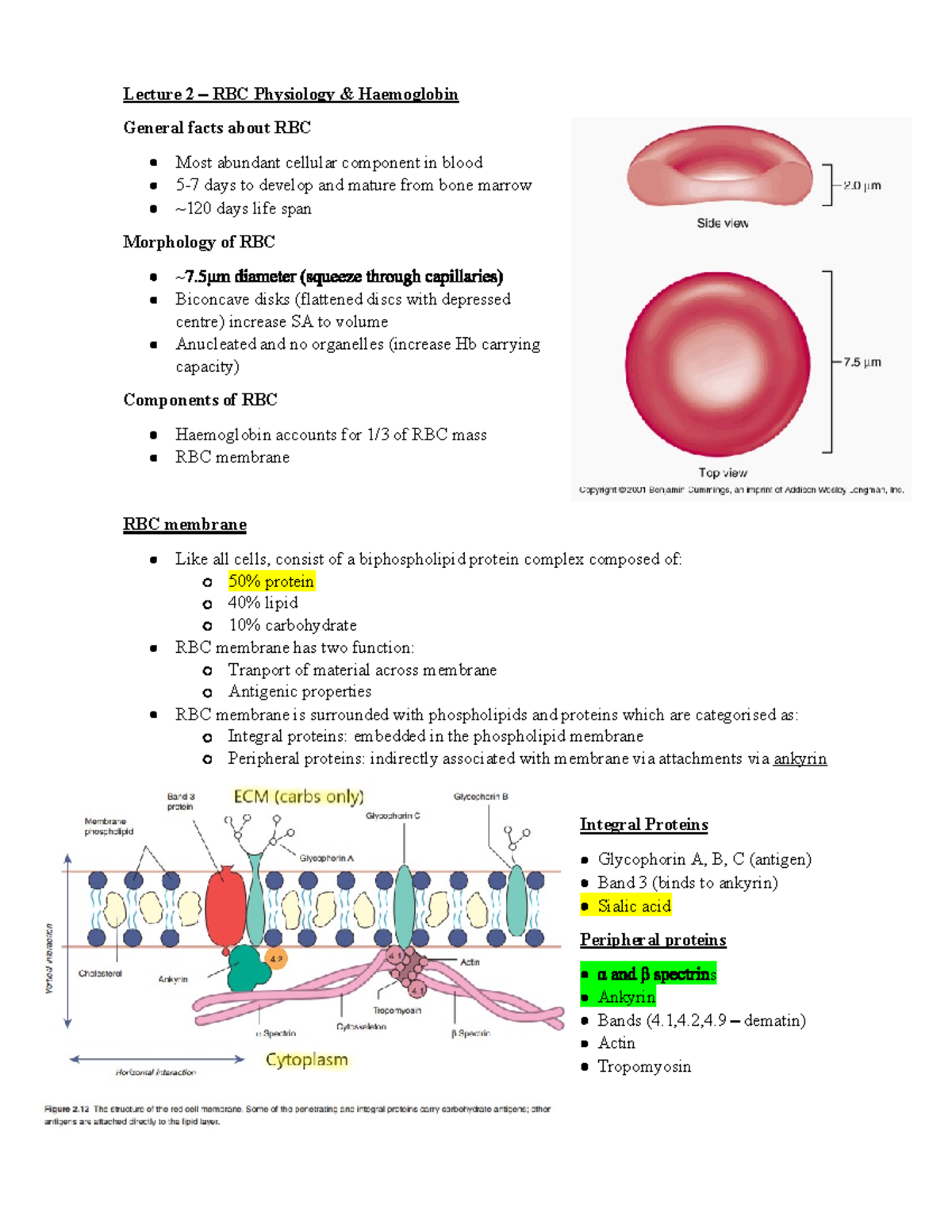 RBC Physio and Hemoglobin - Lecture 2 RBC Physiology & Haemoglobin ...