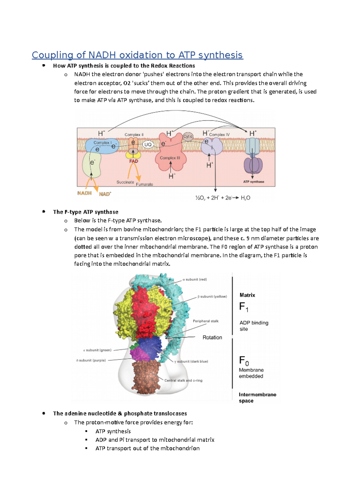 How ATP is synthesised - Lecture notes 27 - Coupling of NADH oxidation ...