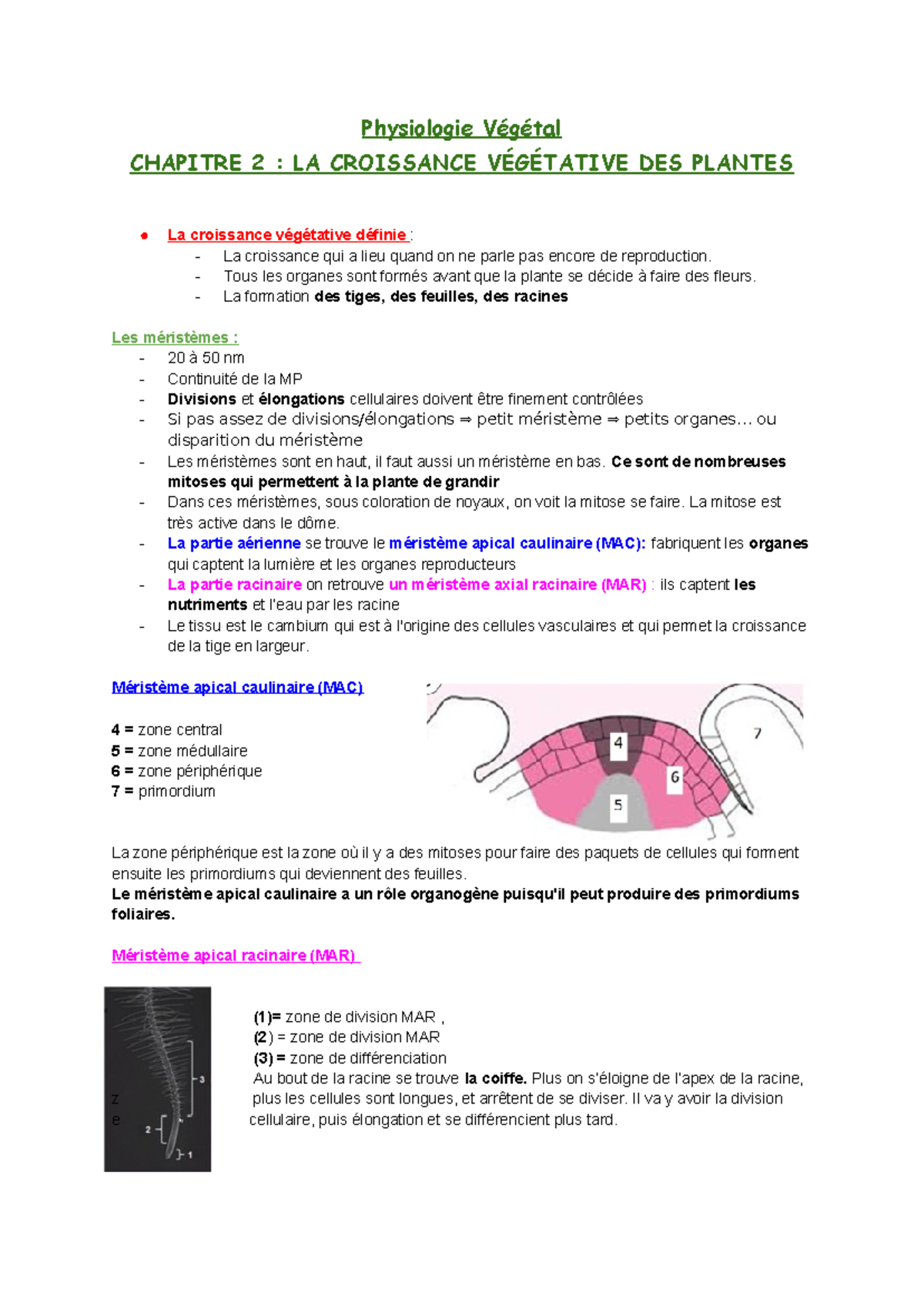 2 LA Croissance Végétative DES Plantes - Physiologie Végétal CHAPITRE 2 ...