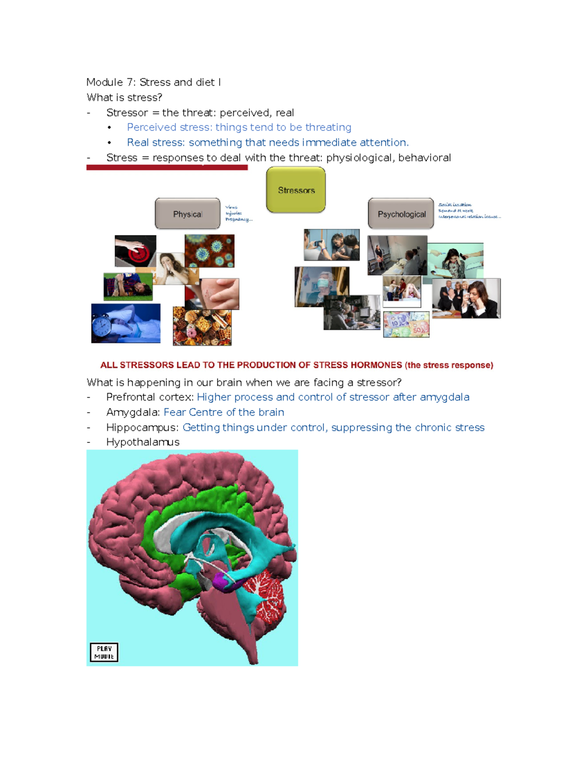 Module 7 word doc - Module 7: Stress and diet I What is stress ...