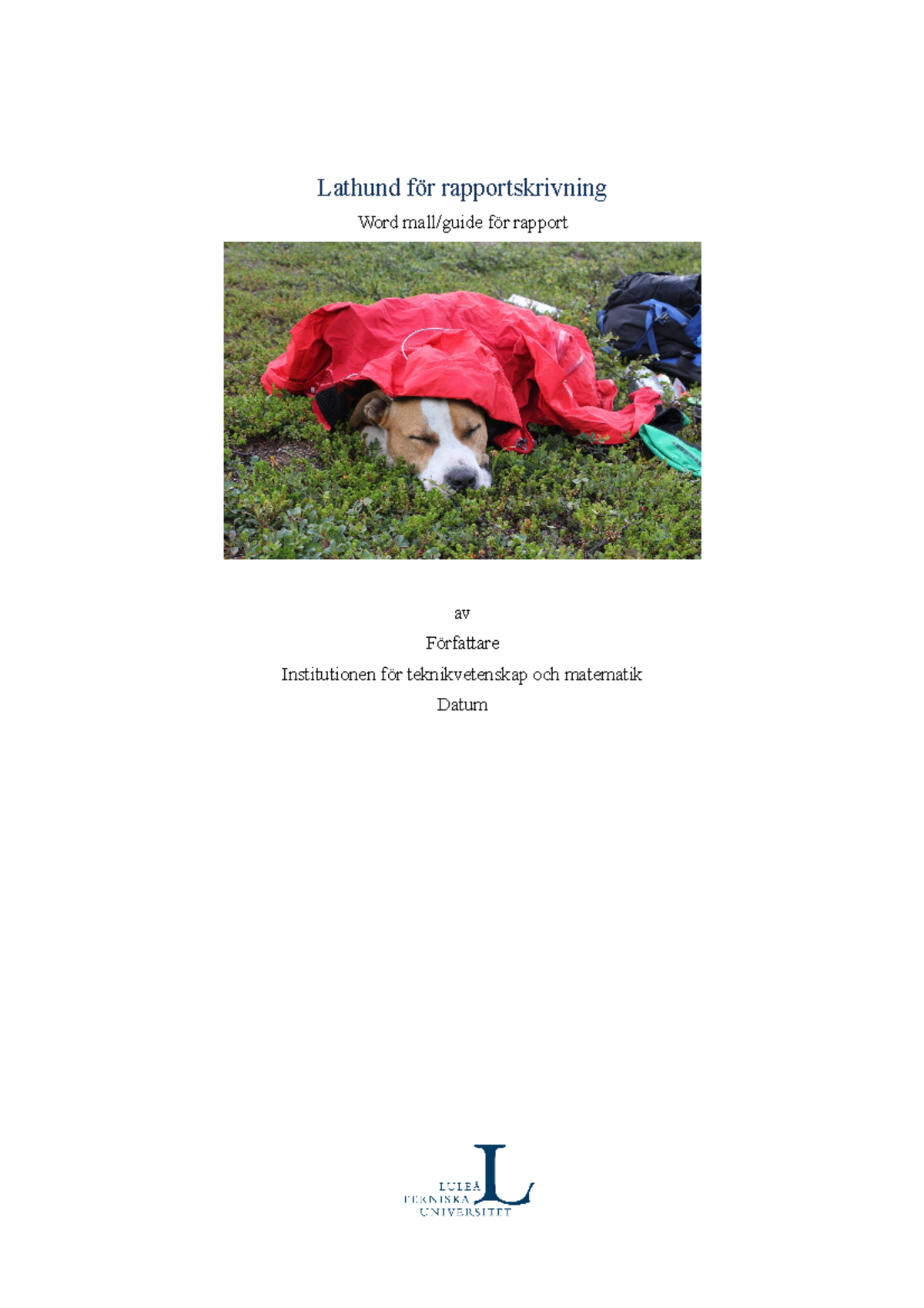 Rapportmall guide TVM 2017 0912 - Lathund för rapportskrivning Word ...
