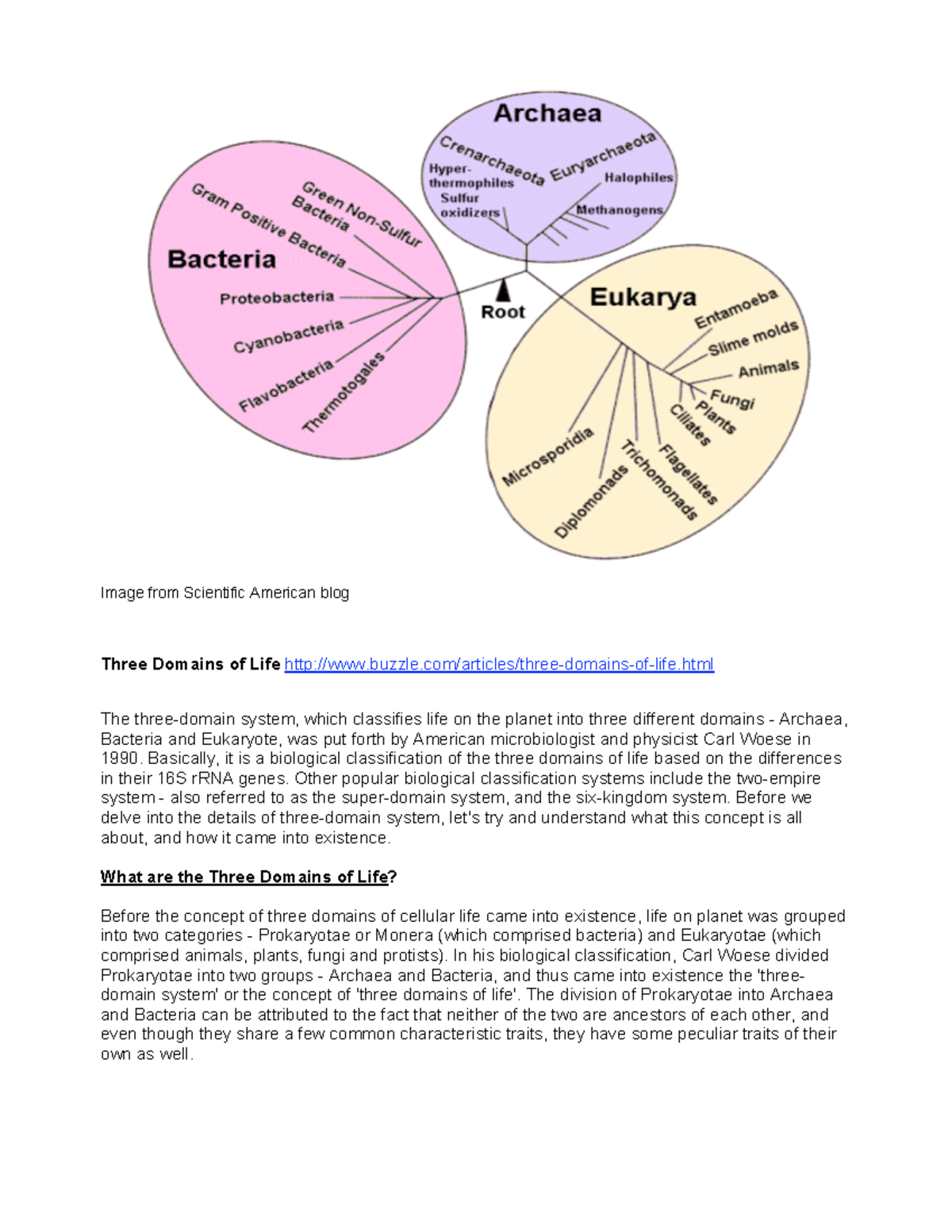 Three domains of life - It's lecture notes - Image from Scientific ...