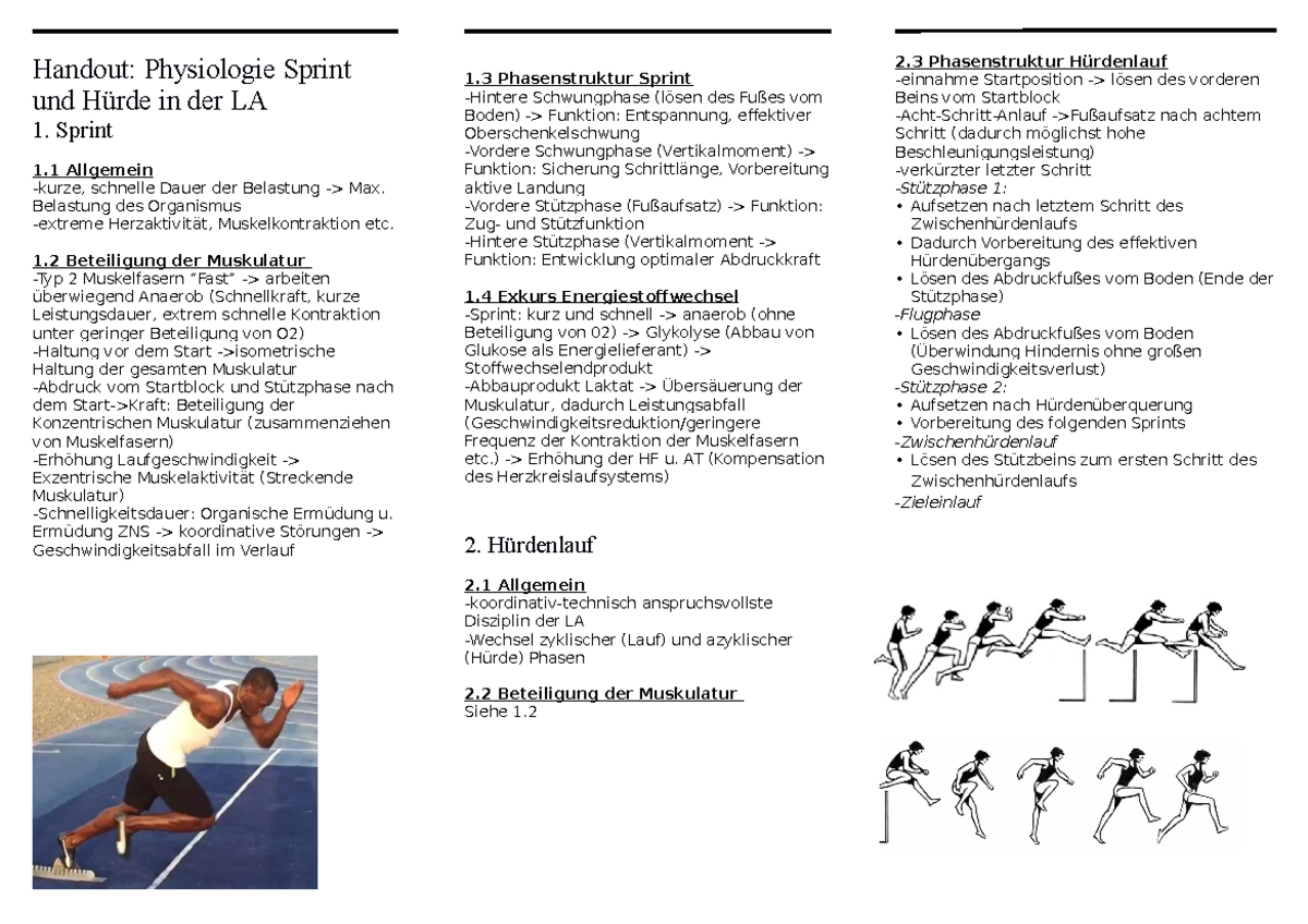 Handout LA - Ausarbeitung Leichtathletik zu Sprung und Sprint - Handout ...