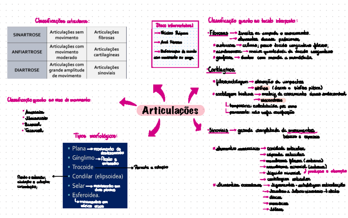 Articulações - Articulações Classificações articulares : Classificação ...