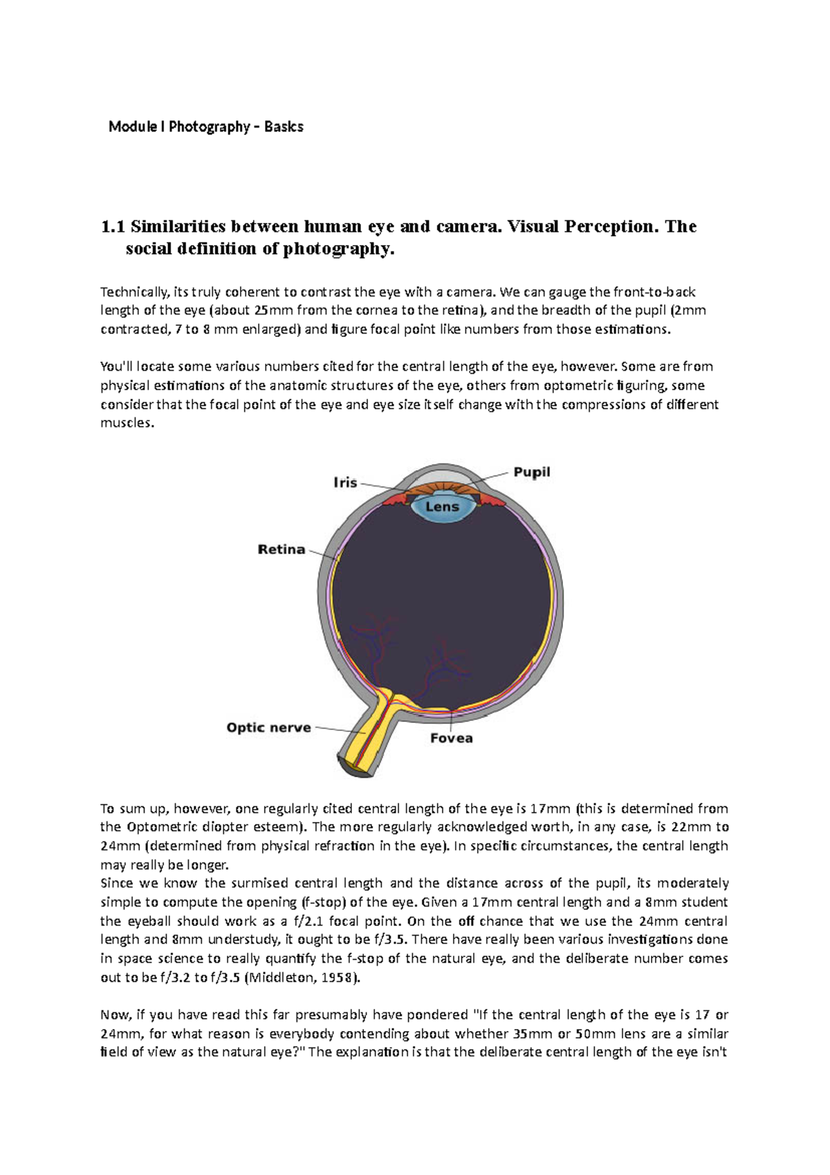 Module I Photography - Visual Perception. The social definition of ...