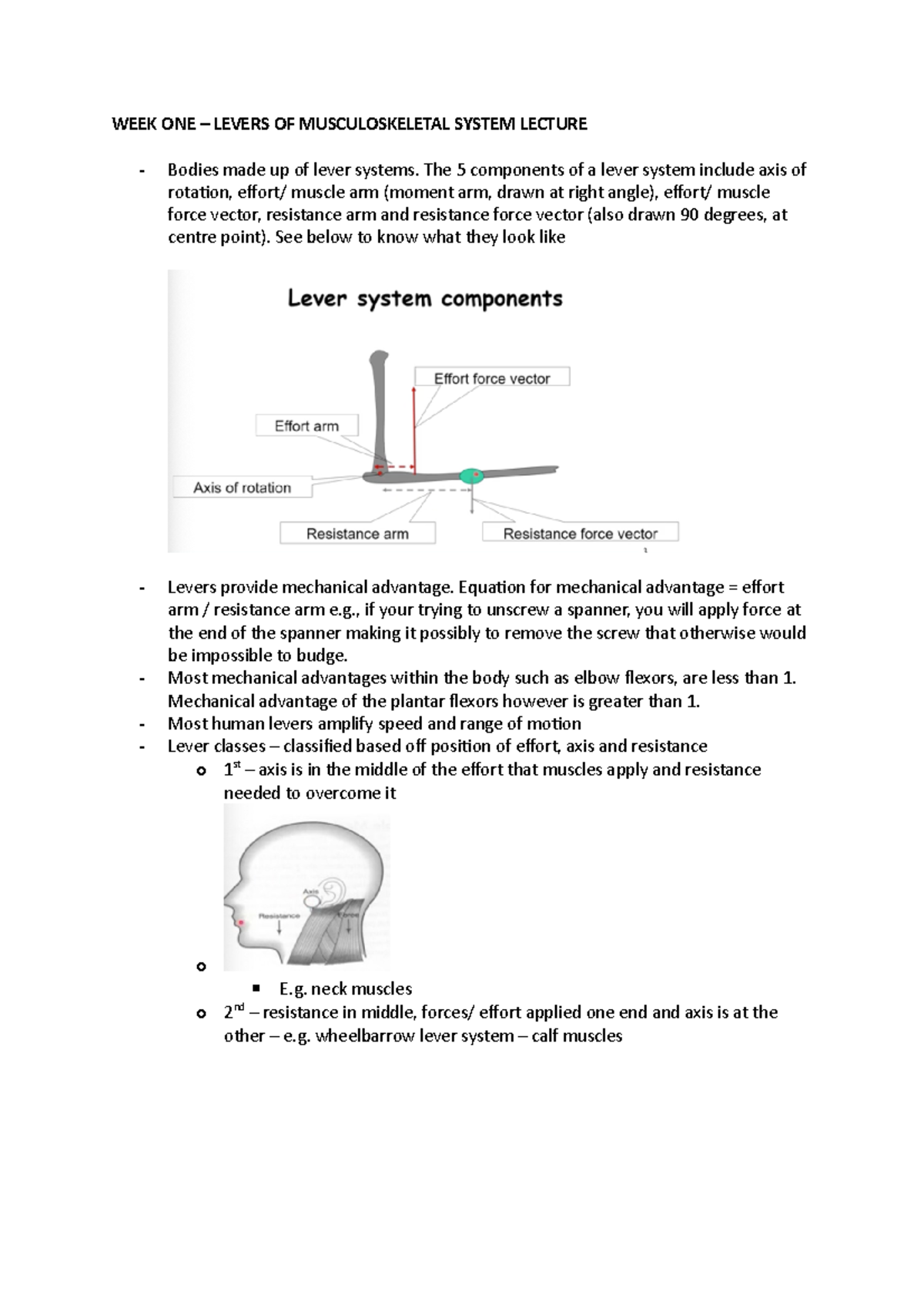 Week one xnb274 - functional anatomy - WEEK ONE – LEVERS OF ...