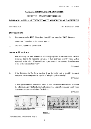 CB1131 2019 Quiz 1B - mid-term 1 prep - Which of the following DNA molecules could serve as an ...